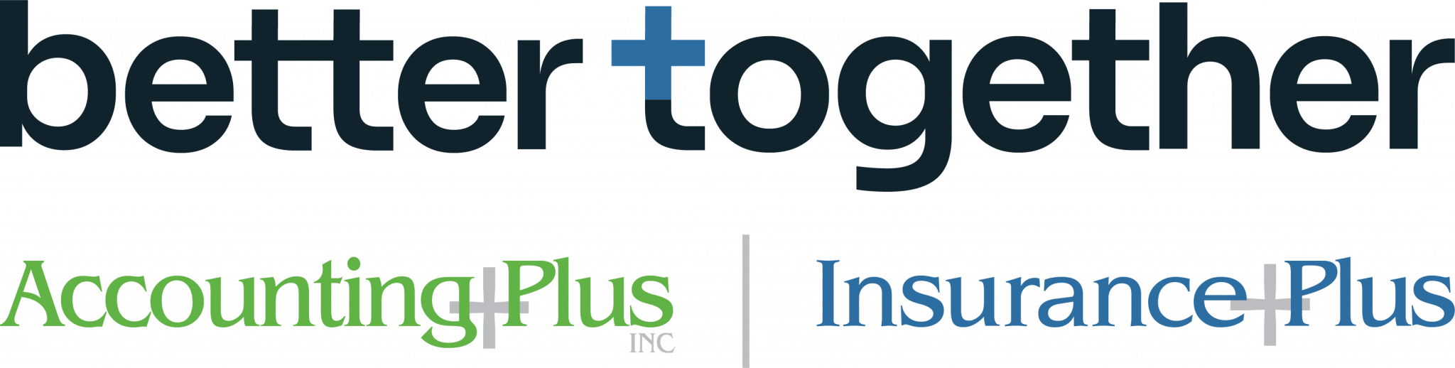 Meet the Team - Insurance Plus